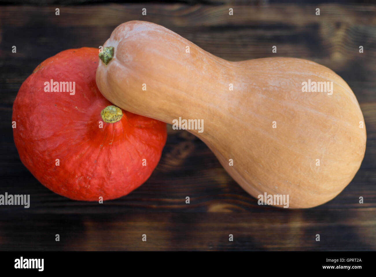 Red pumkin and yellow calabash with hard rind laying diagonally on dark ...