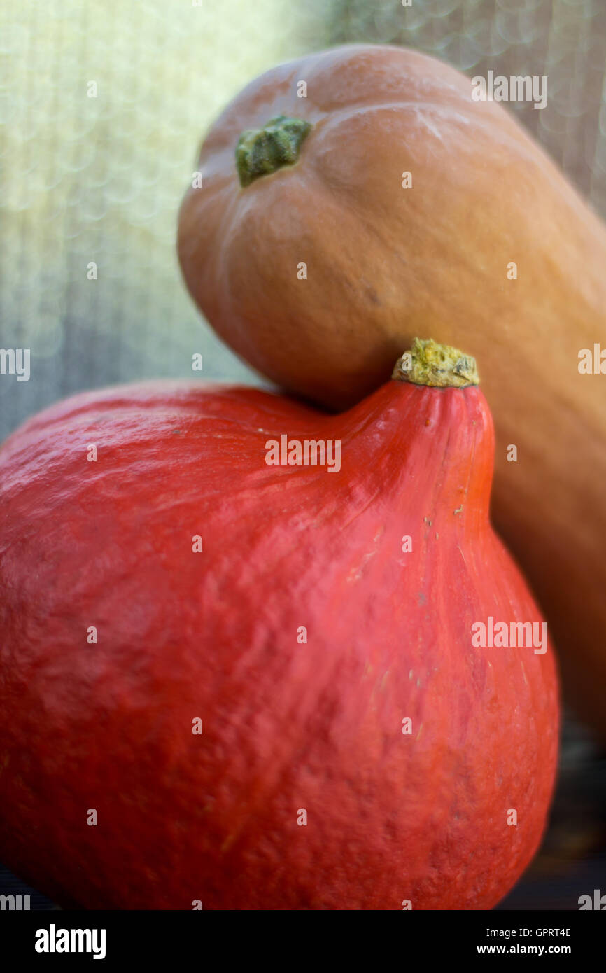 Red orange pumkin with hard rind laying diagonally on dark brown wooden ...
