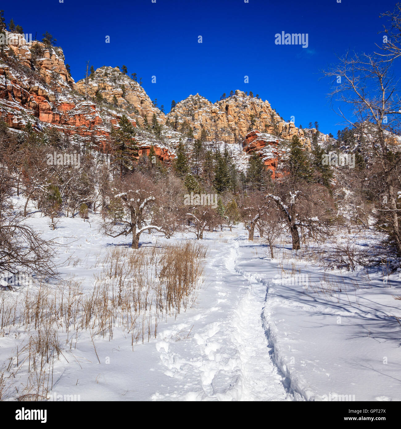 West Fork Oak Creek trail near Sedona, Arizona in winter Stock Photo ...