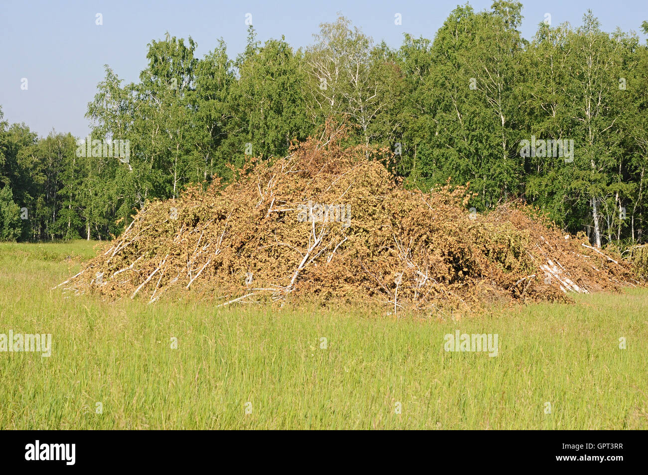sticks and twigs stack texture background Stock Photo - Alamy