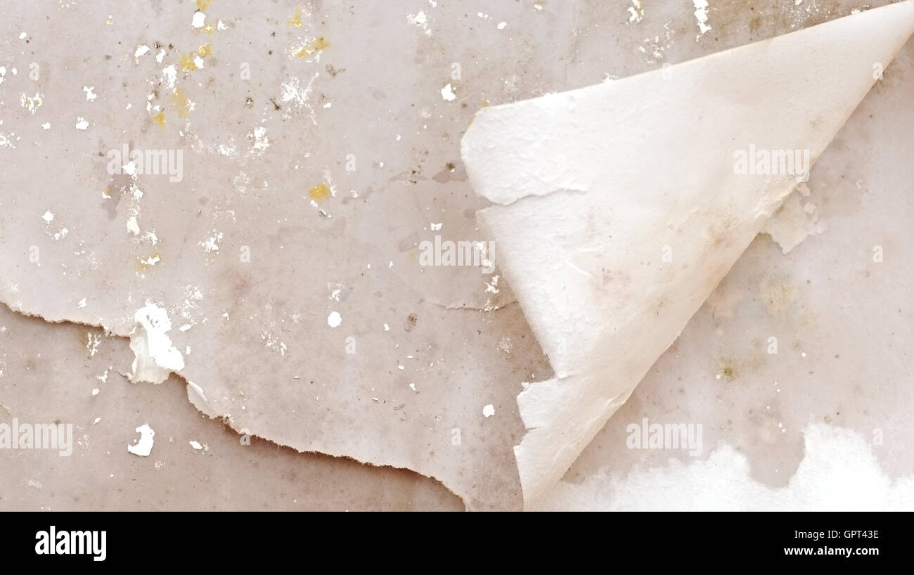 Old paper grunge with corner curl Stock Photo - Alamy