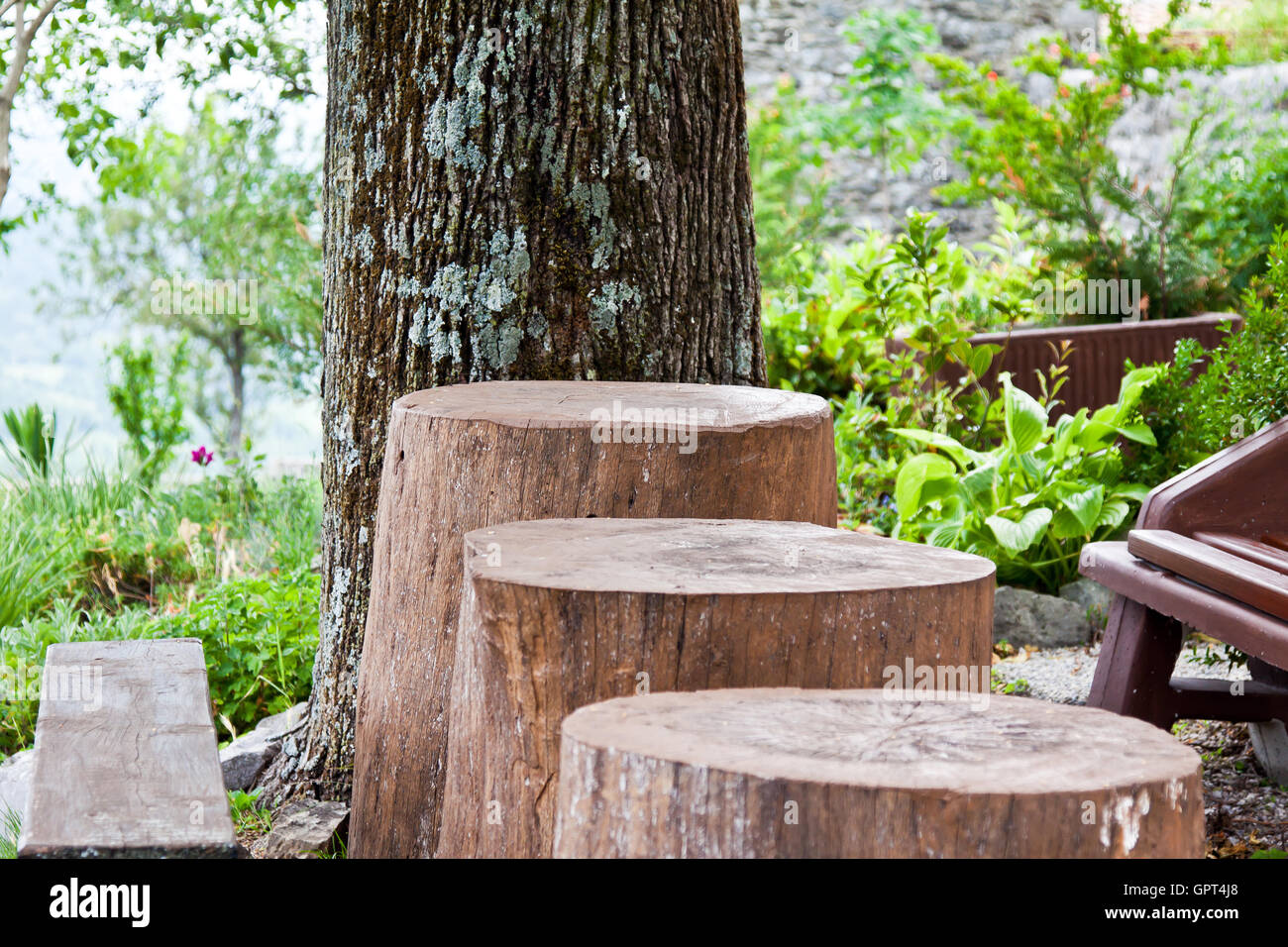 tree and tables Stock Photo - Alamy