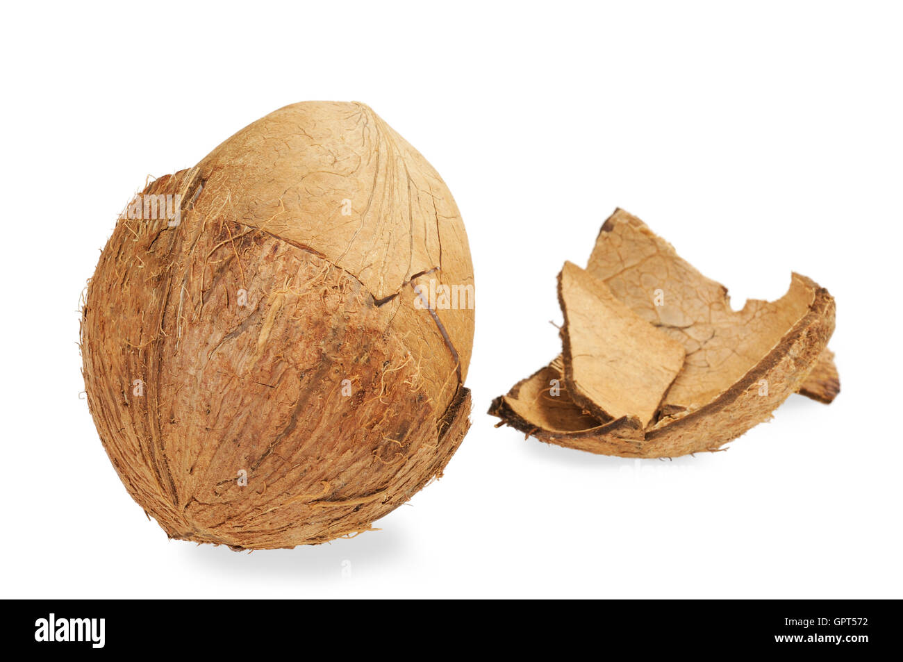 Coconut shells Cut Out Stock Images & Pictures - Alamy