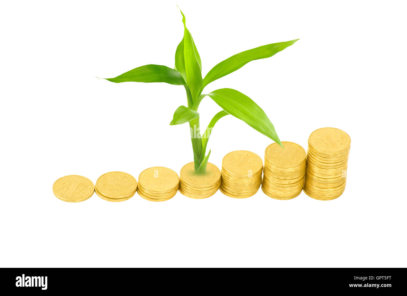 gold coins and plant isolated on white Stock Photo - Alamy