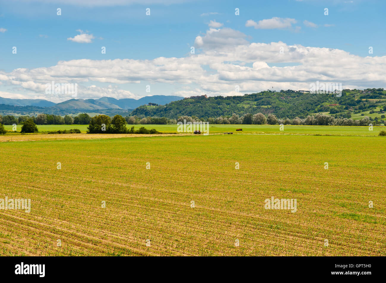 Plantation plain farmhouse hi-res stock photography and images - Alamy