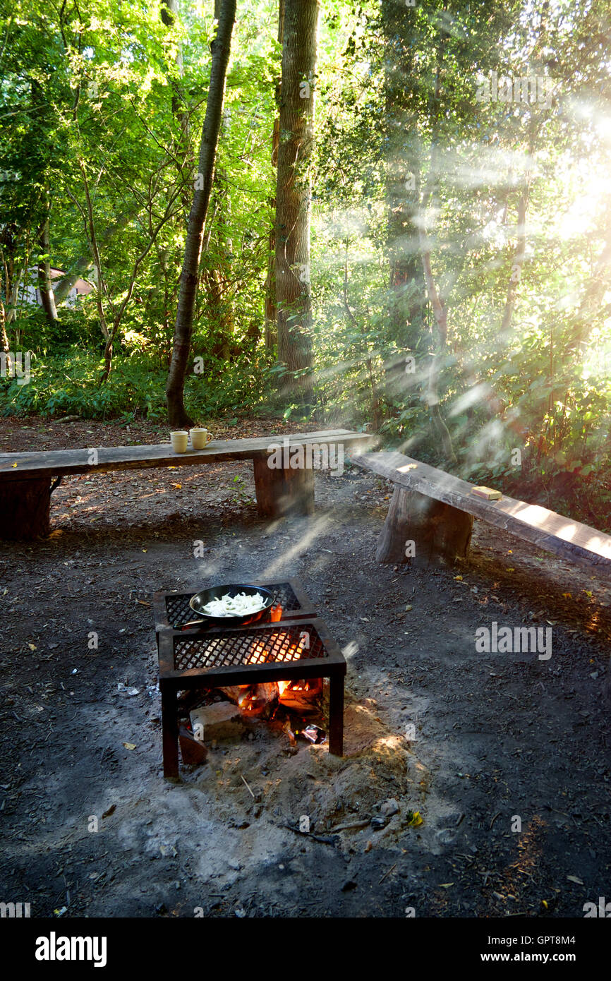 Campfire, red flames, wooden benches around the fire, surrounded by ...