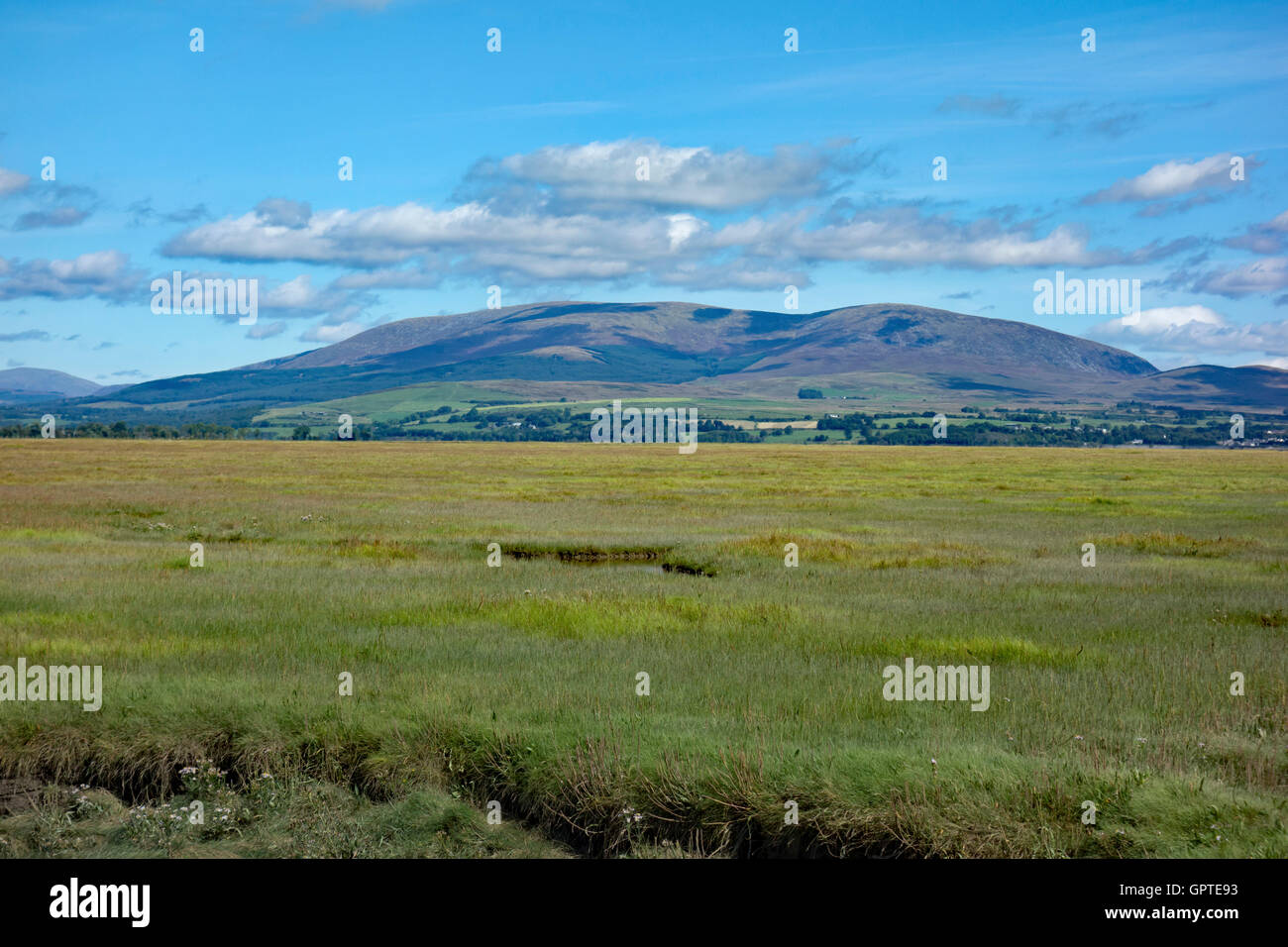 Cairnsmore of Fleet, a mountain in Dumfries and Galloway, near Newton ...
