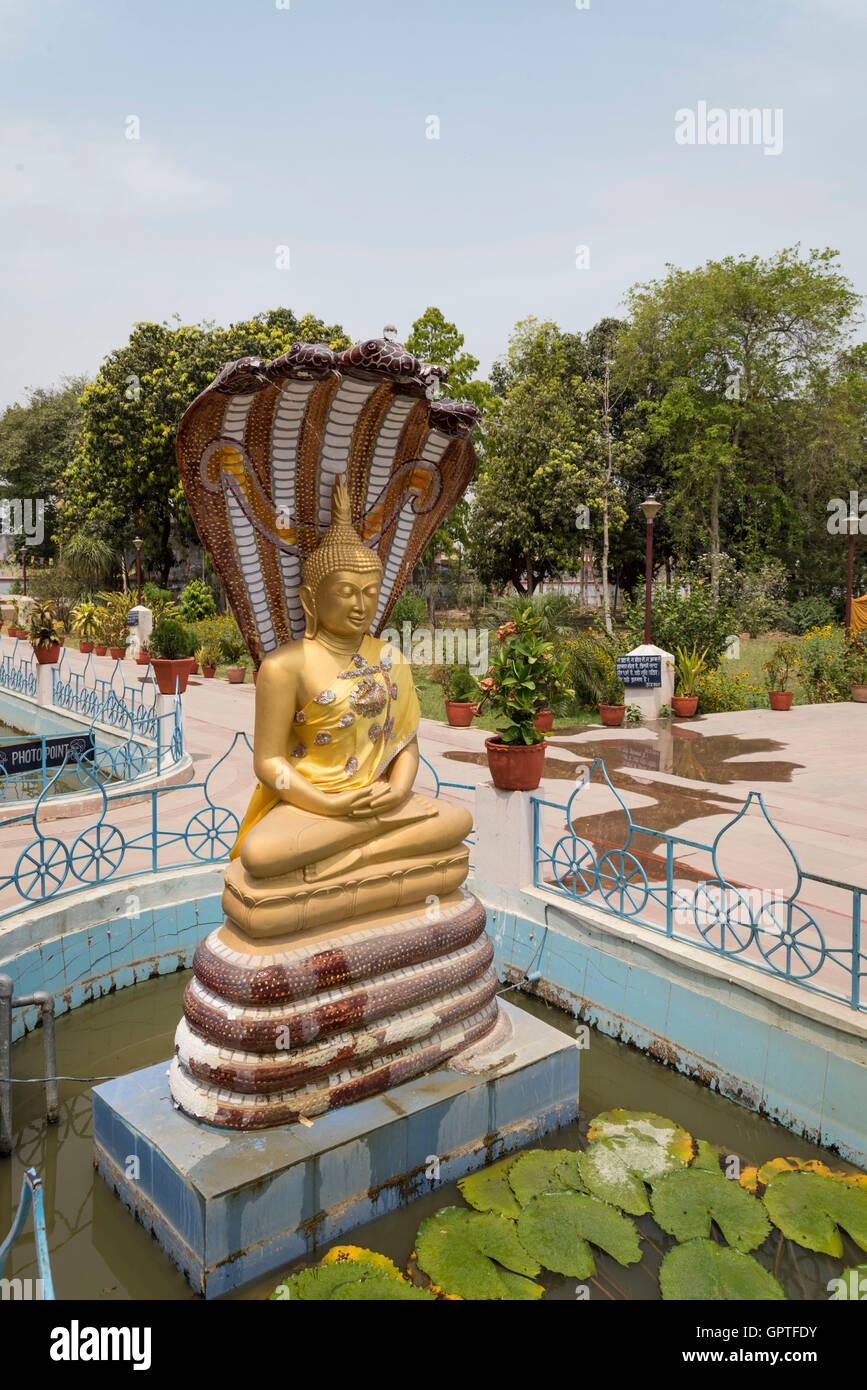 Statue buddha in sarnath uttar hi-res stock photography and images - Alamy