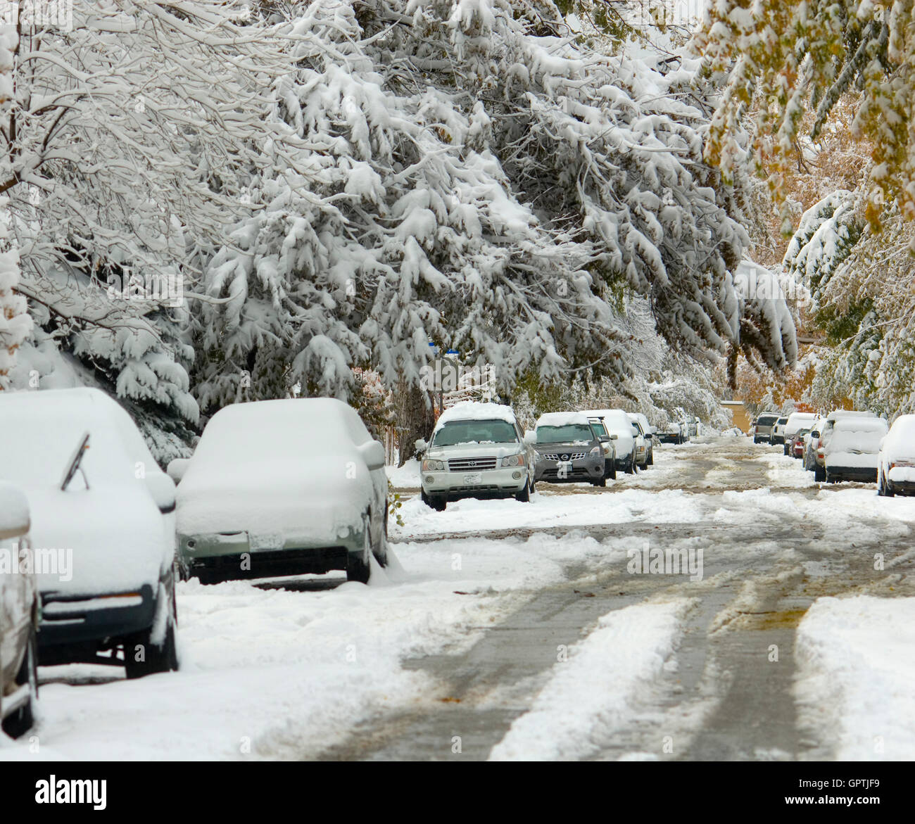 Wet fall hi-res stock photography and images - Alamy