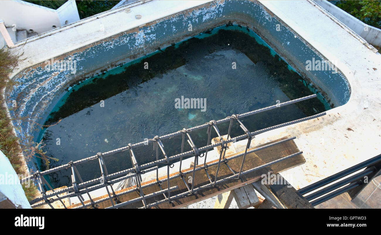 Scum filled swimming pool harboring mosquito larvae Stock Photo - Alamy