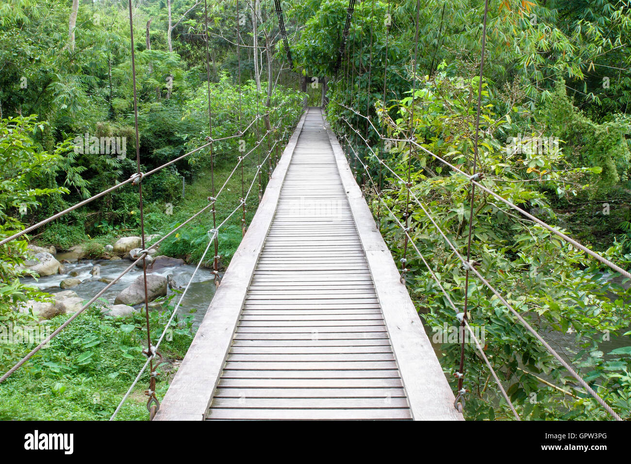 bridge to the jungle Stock Photo - Alamy