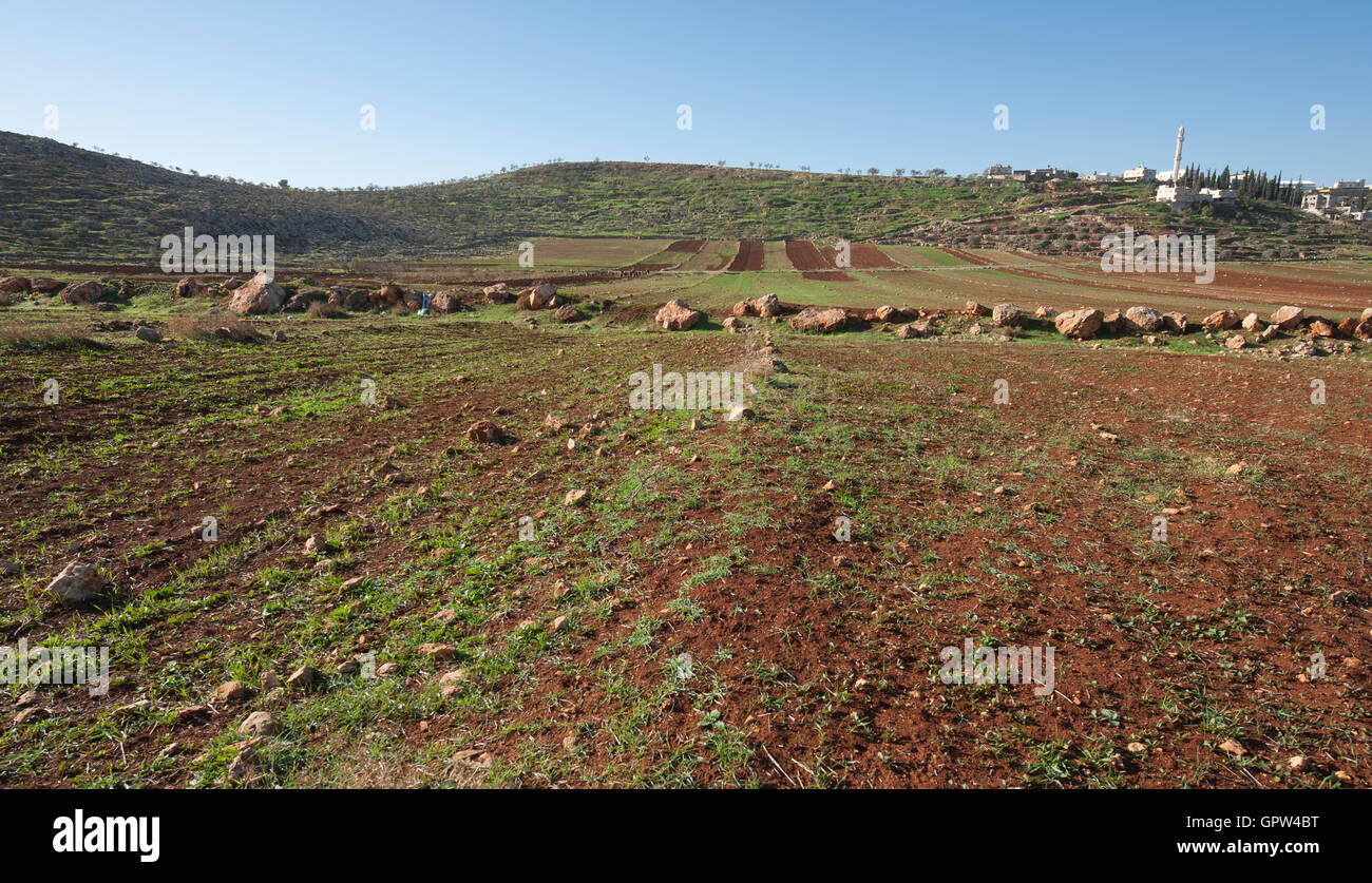Palestinian village mosque minaret hi-res stock photography and images ...