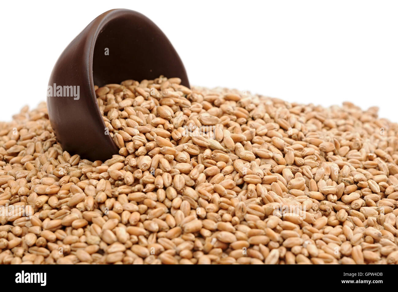 Wheat in bowl isolated on white Stock Photo - Alamy