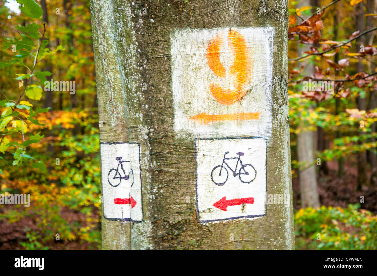 Sign in the forest Stock Photo - Alamy