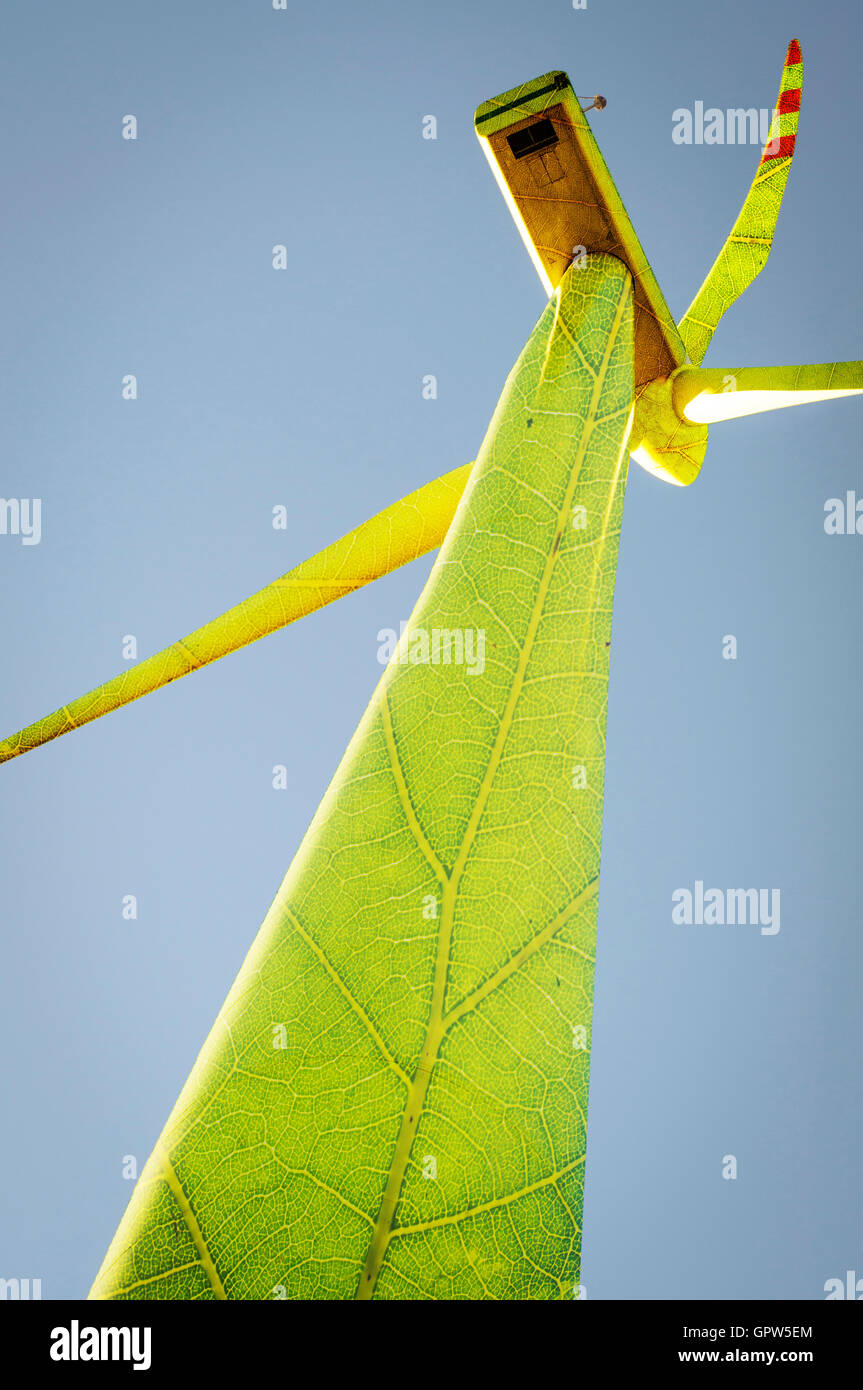 Witk hi-res stock photography and images - Alamy