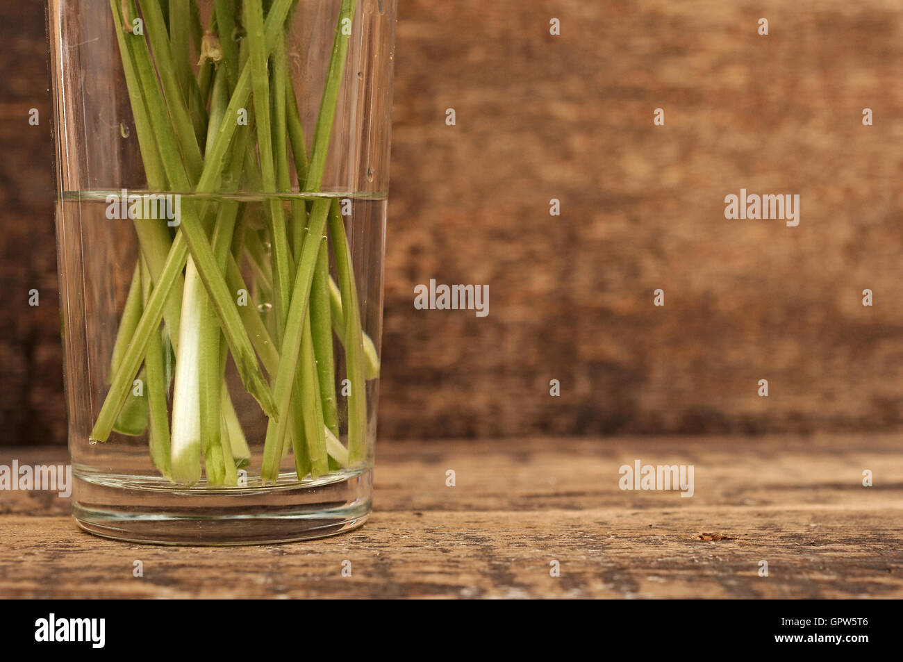the stems of flowers in a glass of water Stock Photo - Alamy