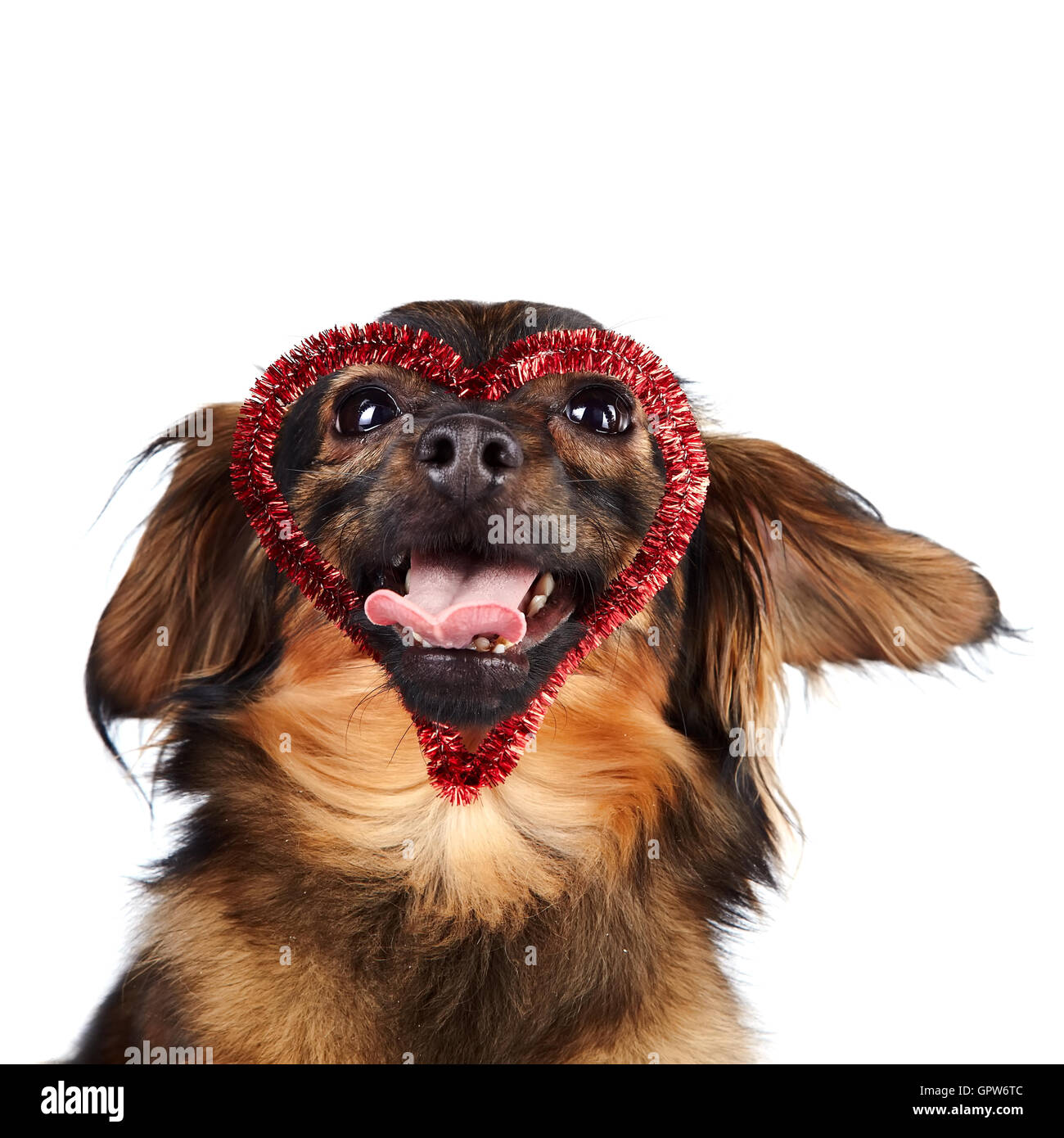Red heart beast hi-res stock photography and images - Alamy