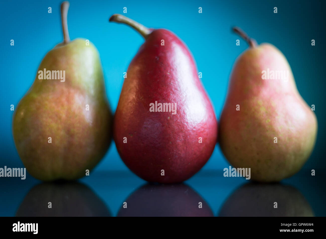 A collection of three different varieties of pears against a blue ...