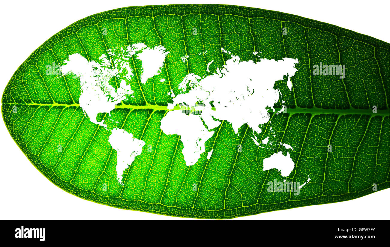 world map in a leaf Stock Photo - Alamy