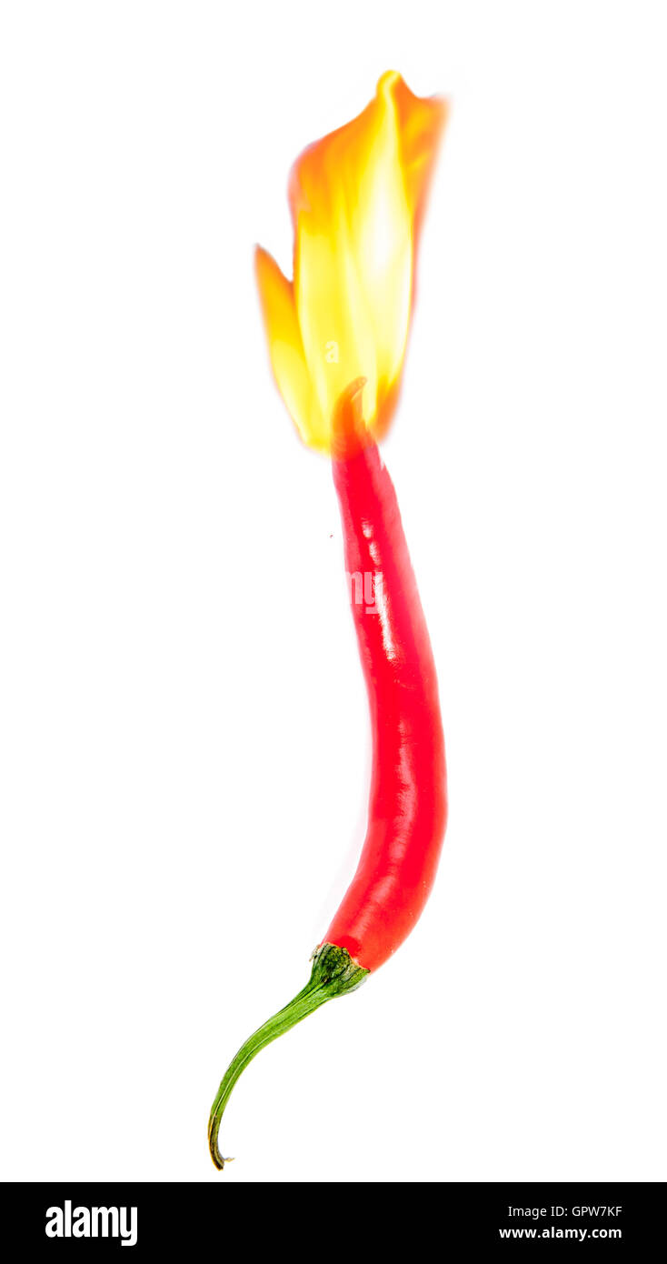 Red hot chilli pepper with flame Stock Photo - Alamy