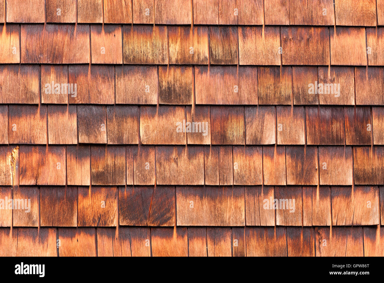 Westen red cedar shingles natural texture pattern Stock Photo - Alamy