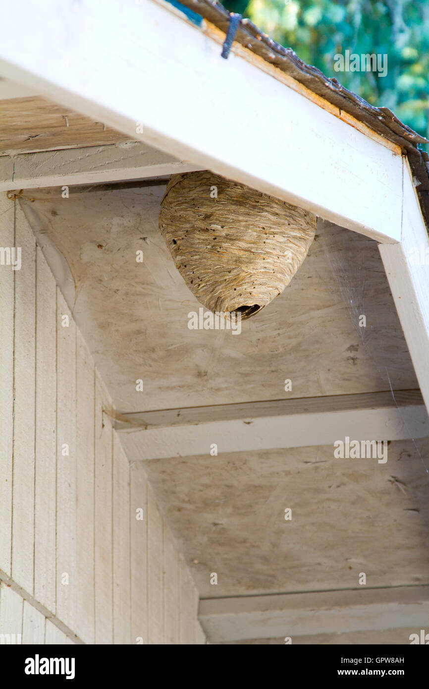 Big beehive hi-res stock photography and images - Alamy