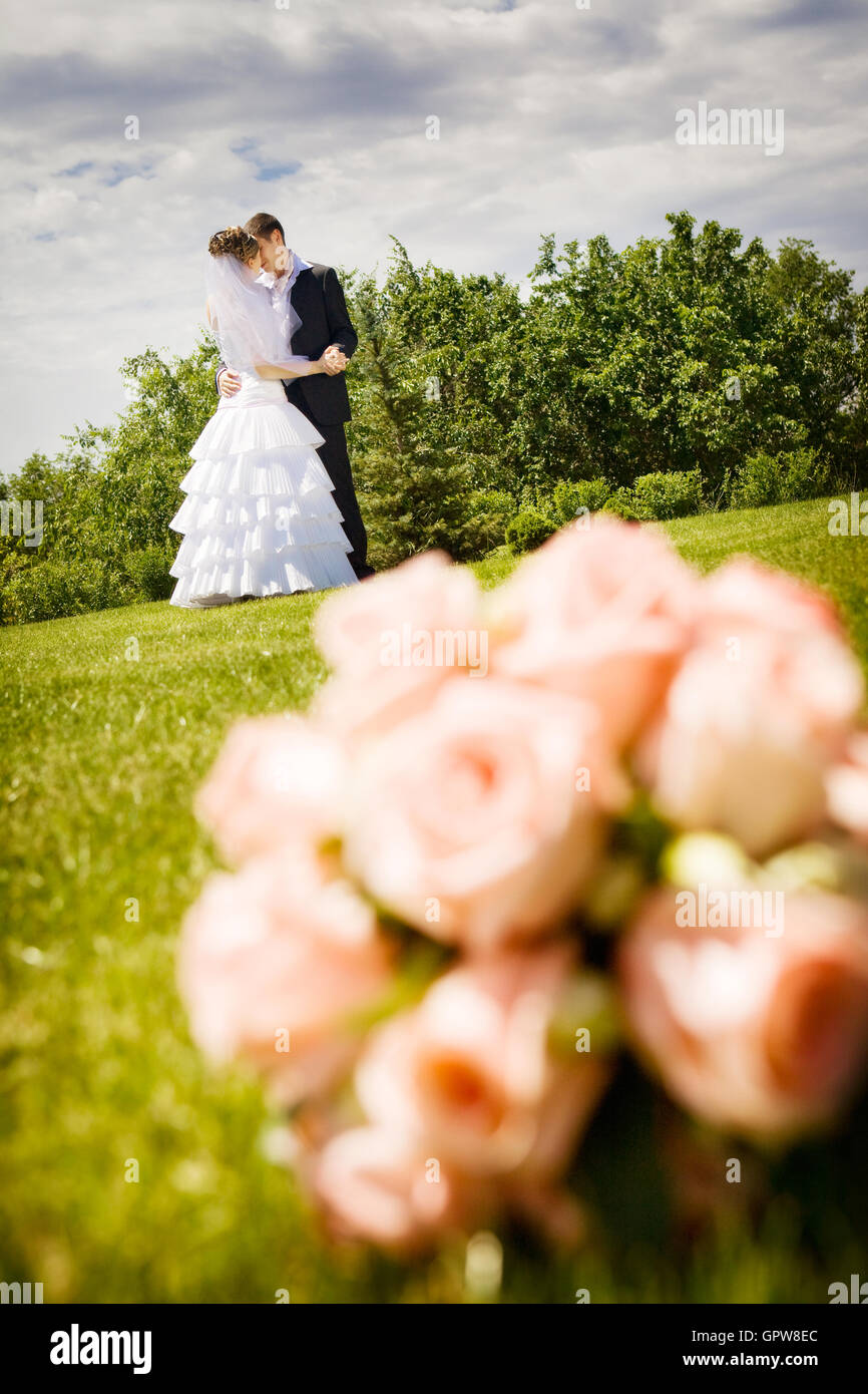 kissing the bride Stock Photo - Alamy