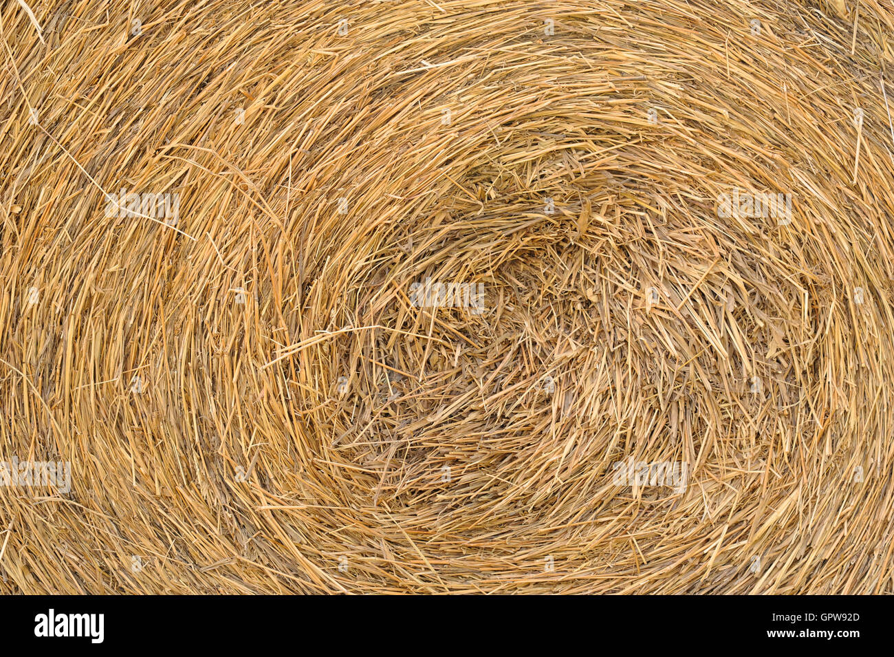 Straw rolls texture Stock Photo - Alamy