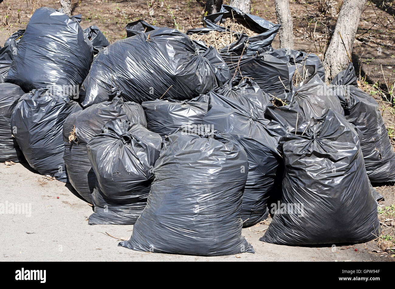 Back bin bag hi-res stock photography and images - Alamy
