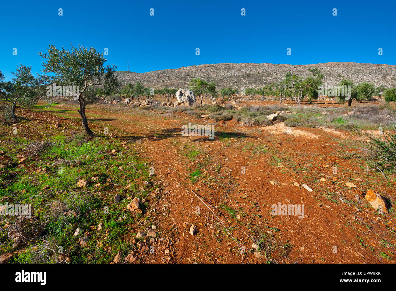 Barren fruit trees hi-res stock photography and images - Alamy