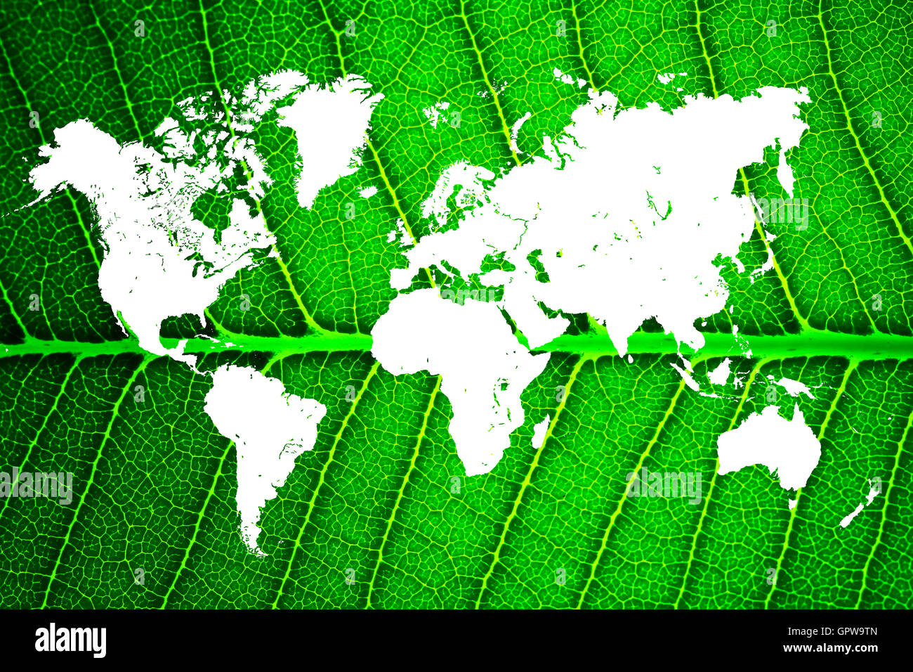 world map in a leaf Stock Photo - Alamy