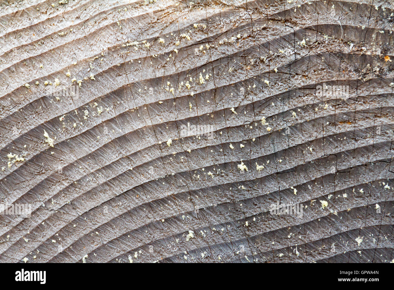 Wood Abstract Texture Stock Photo - Alamy