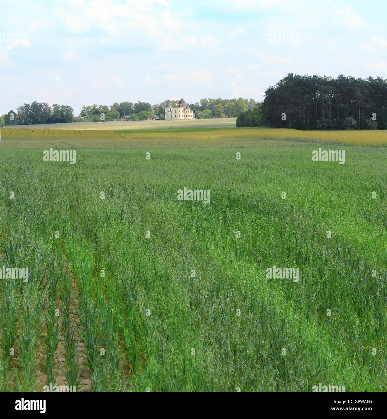 Potato field and farmhouse hi-res stock photography and images - Alamy