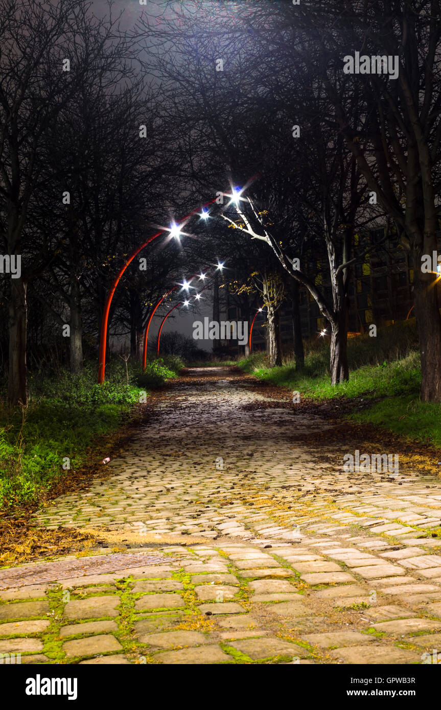 Sheffield night - walking path in the centre Stock Photo - Alamy