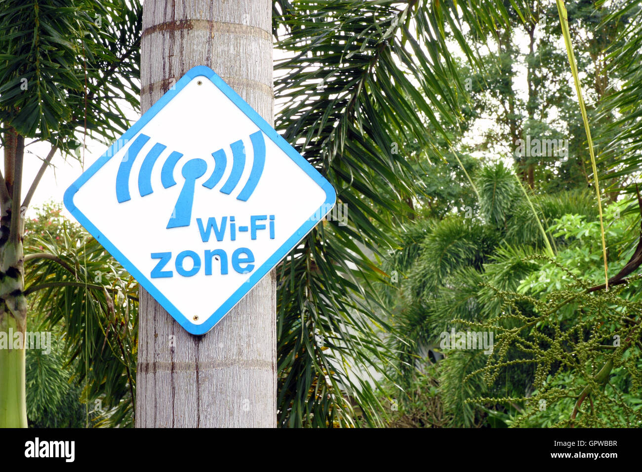 Wi-Fi zone sign on tree Stock Photo - Alamy