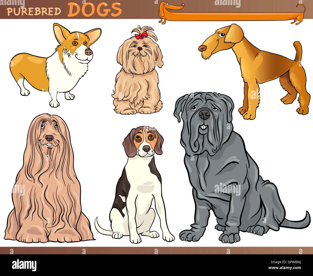 purebred dogs cartoon illustration set Stock Photo - Alamy