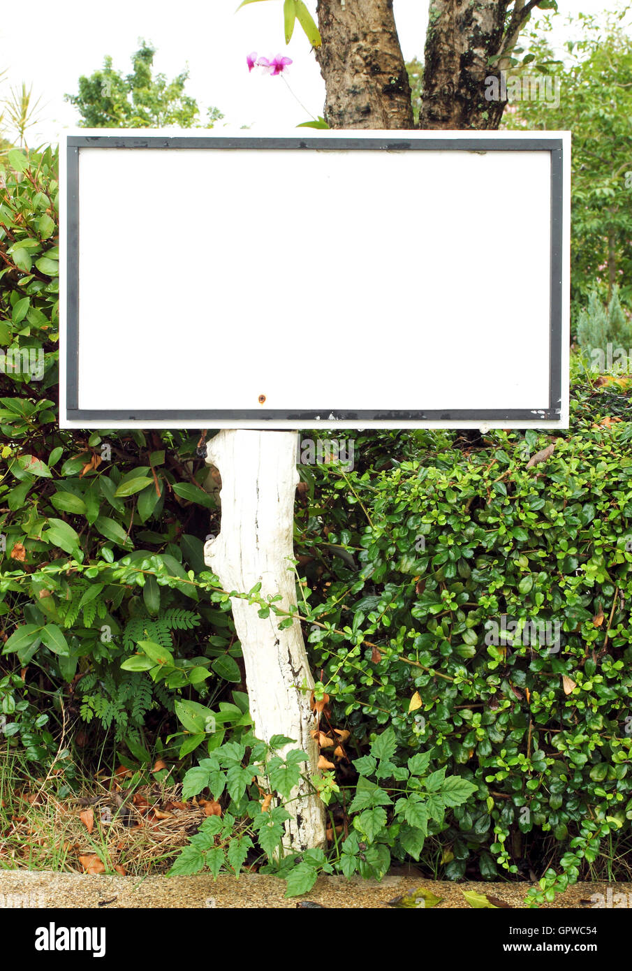 white blank sign Stock Photo - Alamy