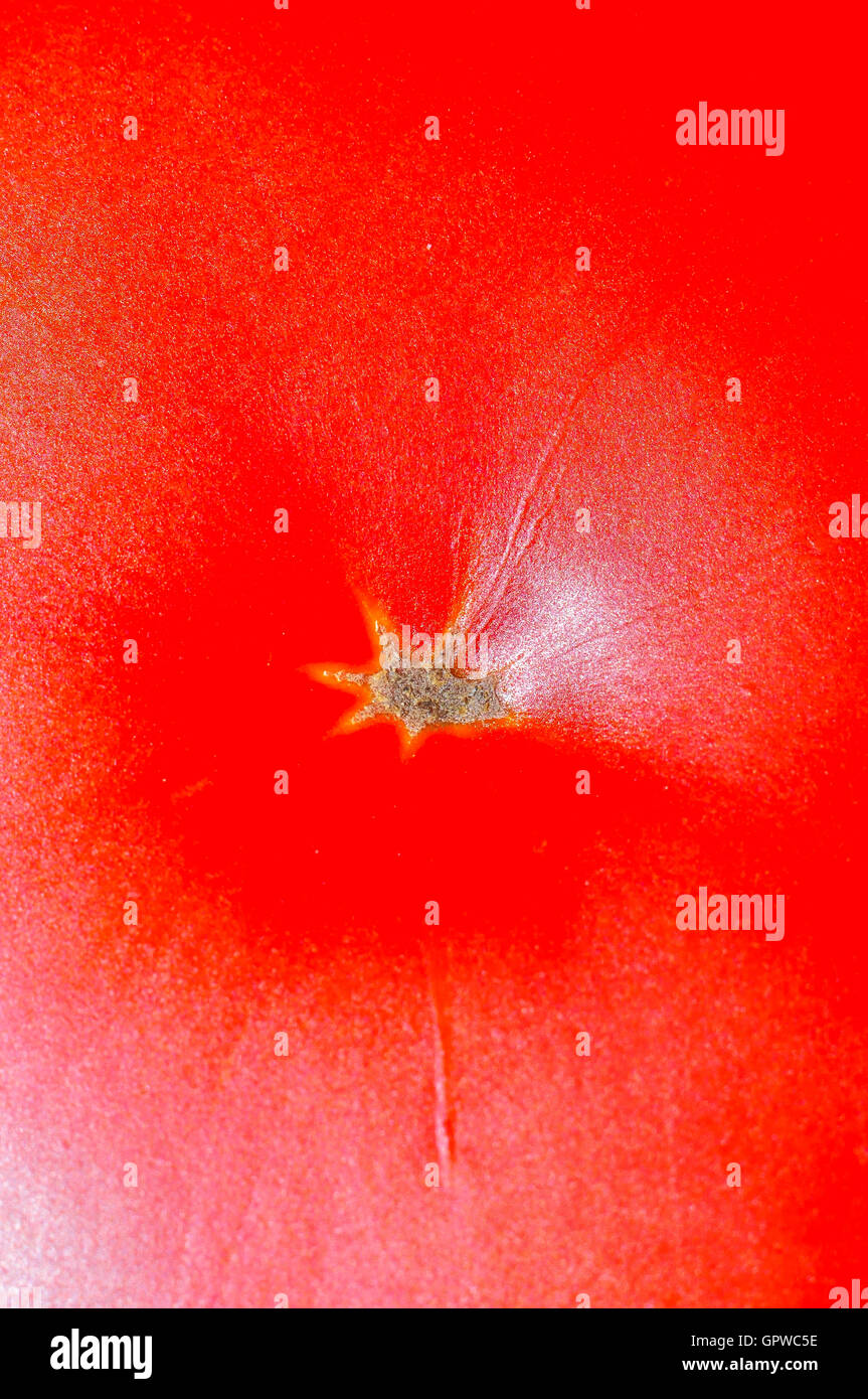 Tomato slice macro hi-res stock photography and images - Alamy
