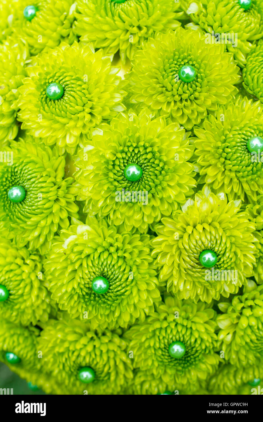 Mum circle hi-res stock photography and images - Alamy