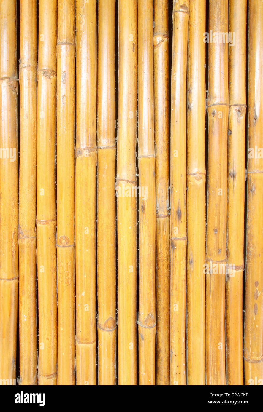 bamboo wall texture background Stock Photo - Alamy
