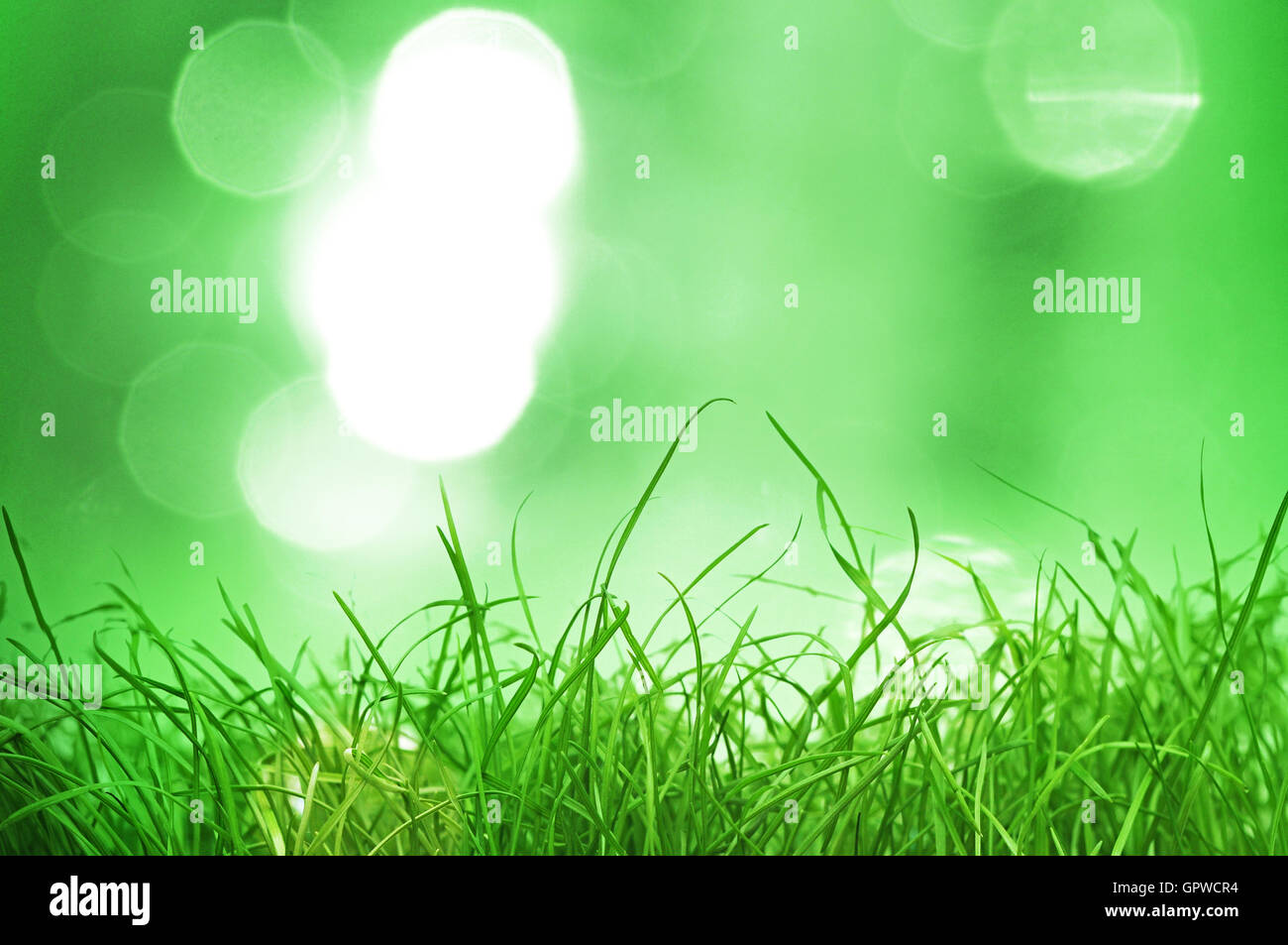 natural green background with selective focus Stock Photo - Alamy