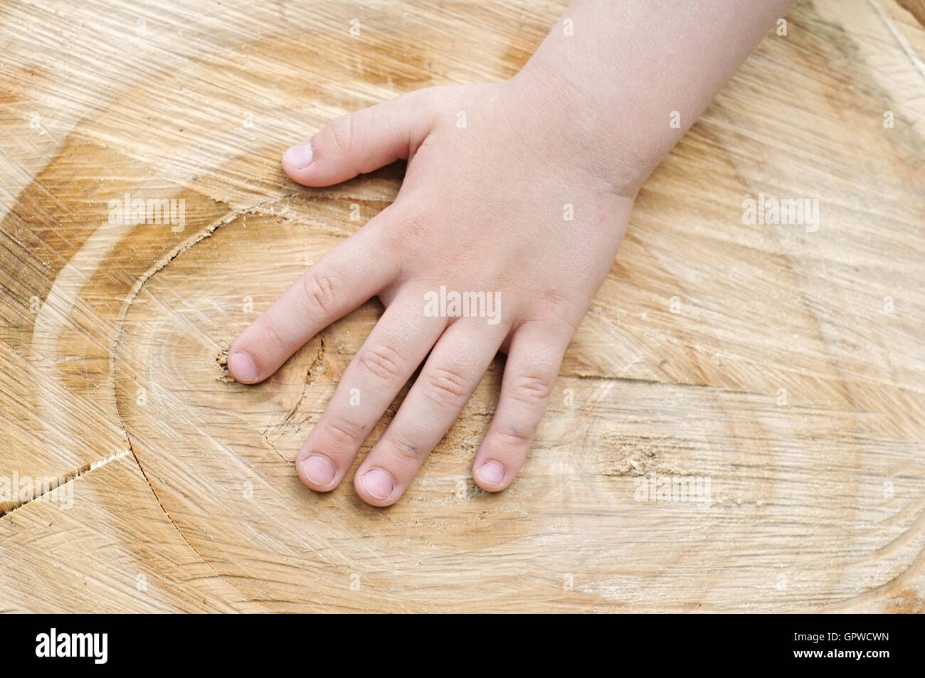 Children's hand is located on an old stump Stock Photo - Alamy