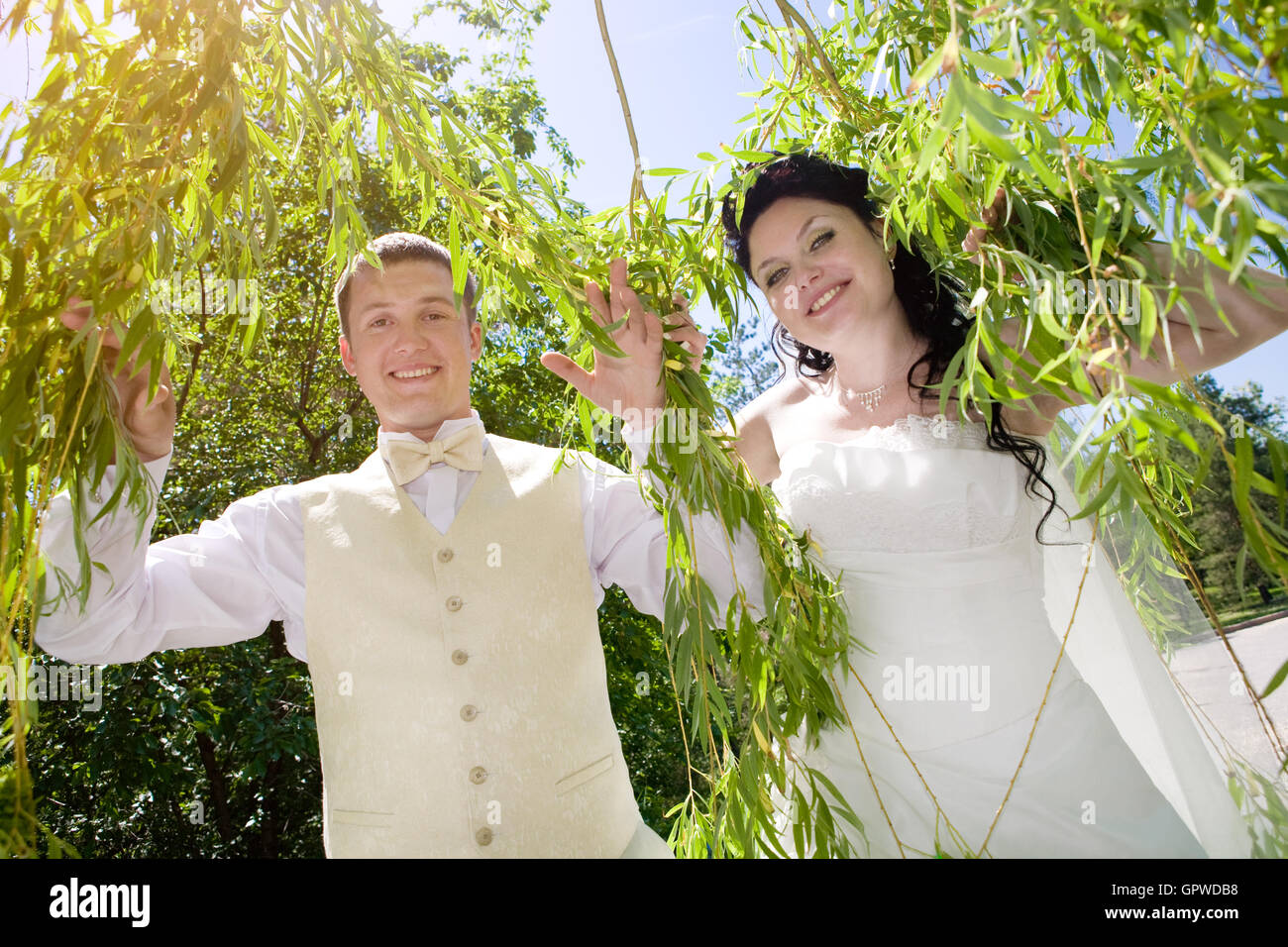 in the green branches Stock Photo - Alamy