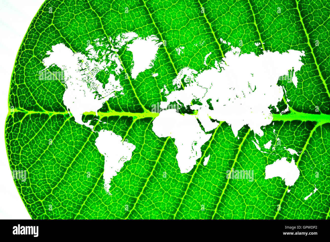 world map in a leaf Stock Photo - Alamy