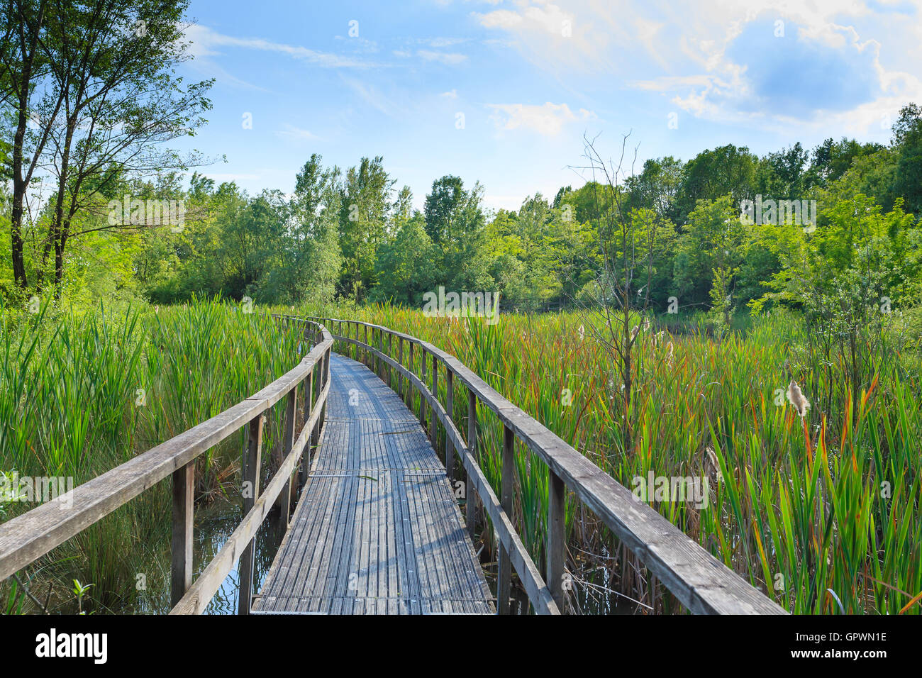 Old footbridge over lagoon. Outdoor and nature. Rural panorama Stock ...