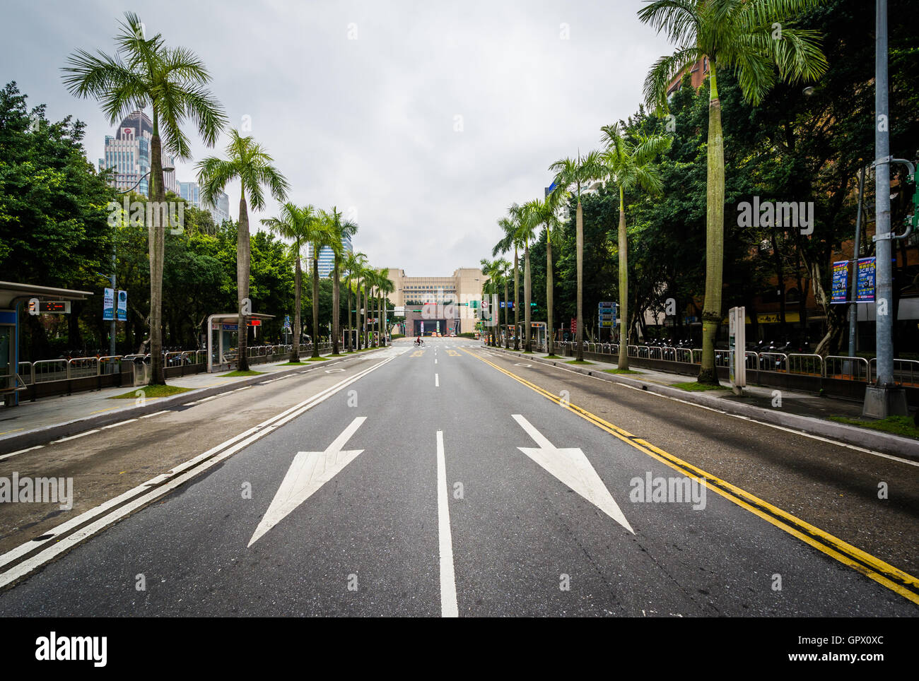 Palm trees along a street in the Xinyi District, Taipei, Taiwan Stock ...
