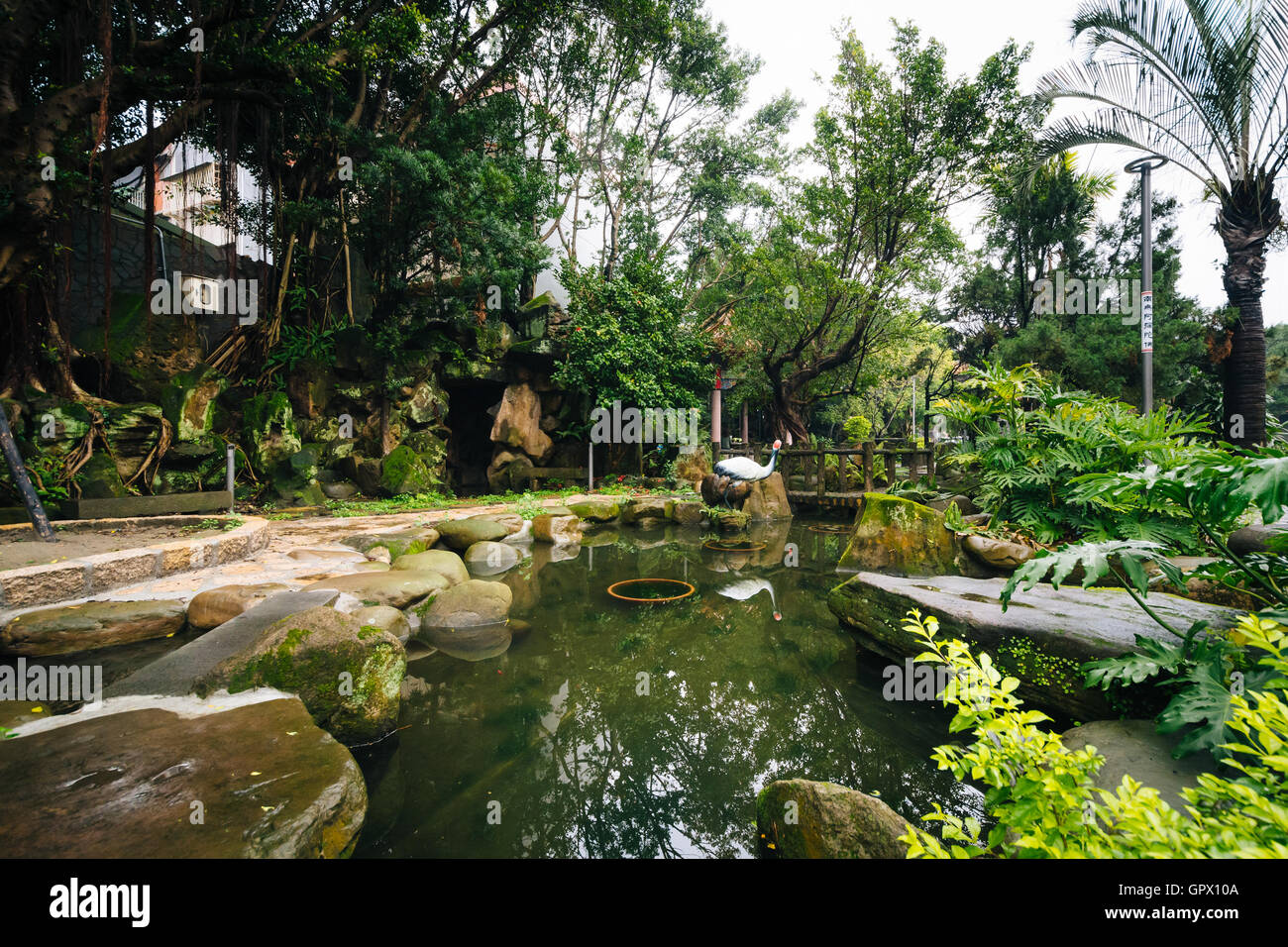 Small taiwan hi-res stock photography and images - Alamy