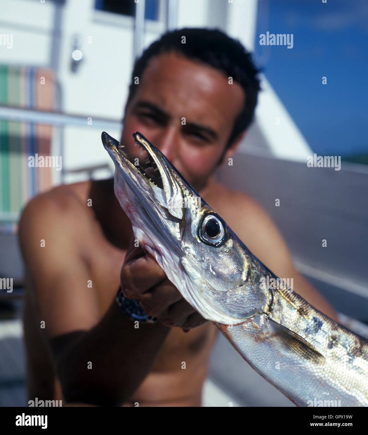 Barracuda Fishing High Resolution Stock Photography and Images - Alamy