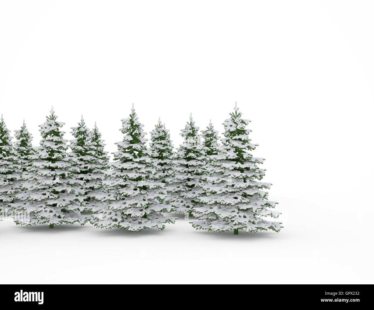 Snow covered pine trees isolated on white background Stock Photo - Alamy