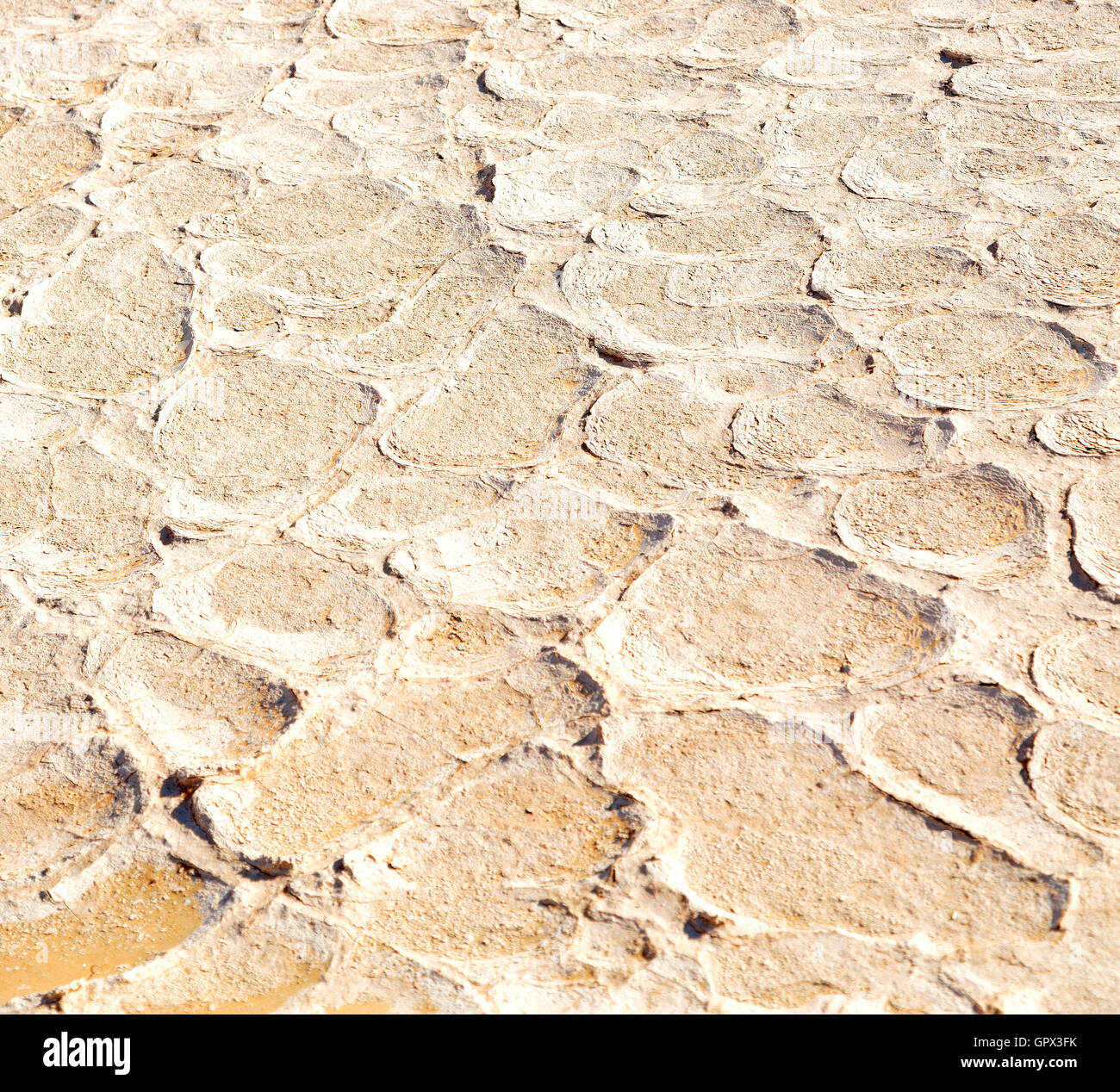 old desert and the abstract cracked sand texture in oman rub al khali ...